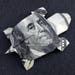 TURTLE Money Origami Dollar Bill Animal Reptile Cash Sculptors - Etsy
