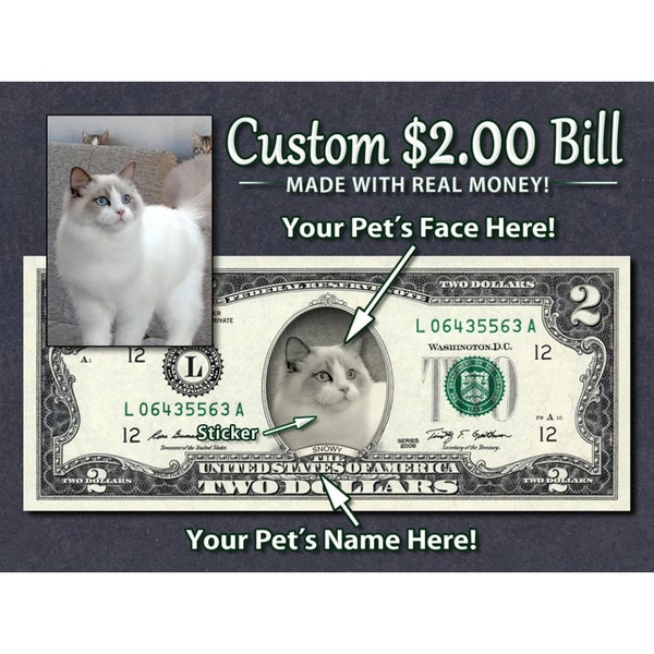 Money Cat - Etsy