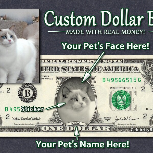 Custom Dollar Bill With Pet Face - Etsy