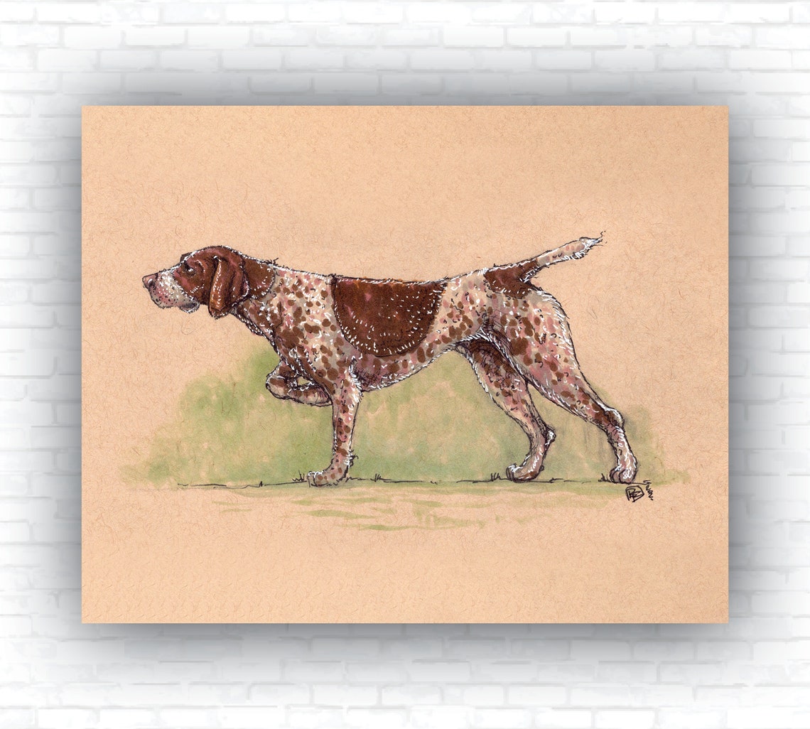 Vintage Brown Pointer Art Print Vintage Pets Series Hand | Etsy