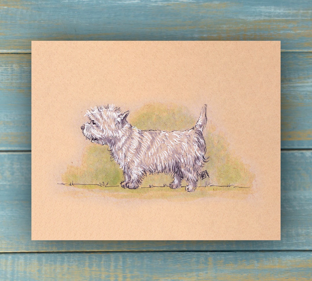 Vintage Westie Art Print - Vintage Pets Series - Hand Drawn Art - Dogs ...