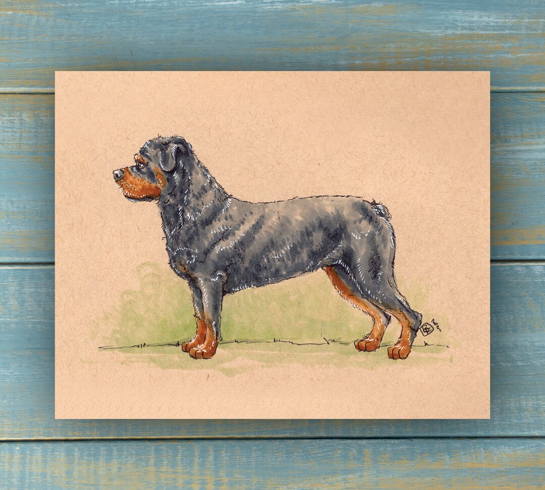 Vintage Rottweiler Art Print - Vintage Pets Series - Hand Drawn Art ...