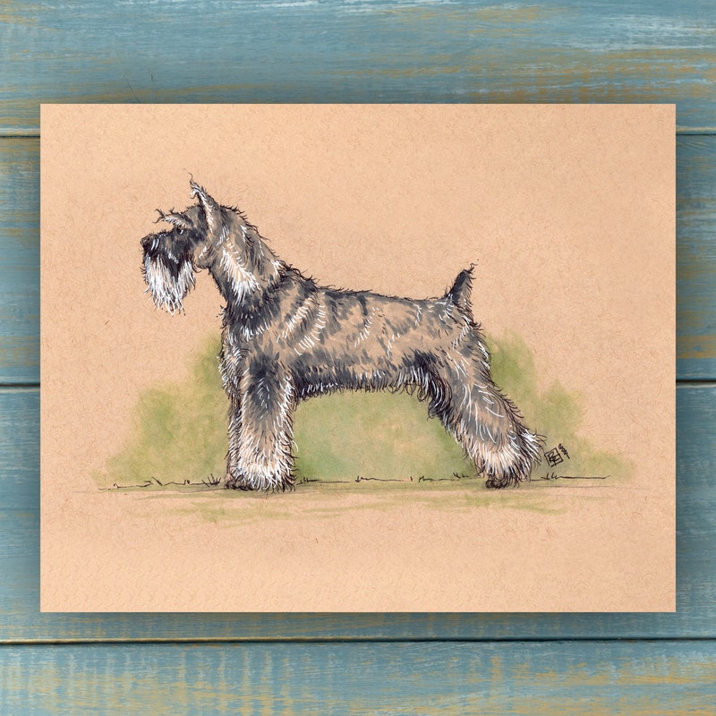 Schnauzer Art Print - Etsy