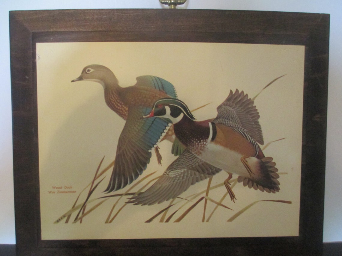 William Zimmerman Art Wm Zimmerman Mallard Cottage Decor | Etsy