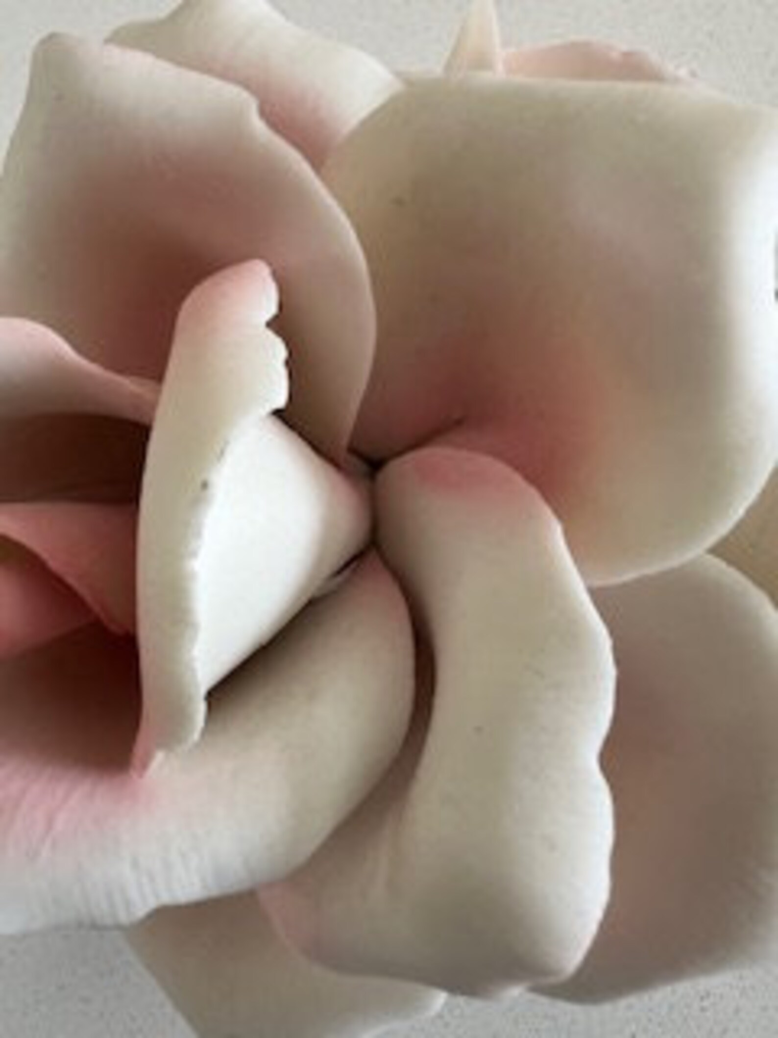 E&R Crown Porcelain Italy Rose With Two Blossoms, Italian Porcelain ...