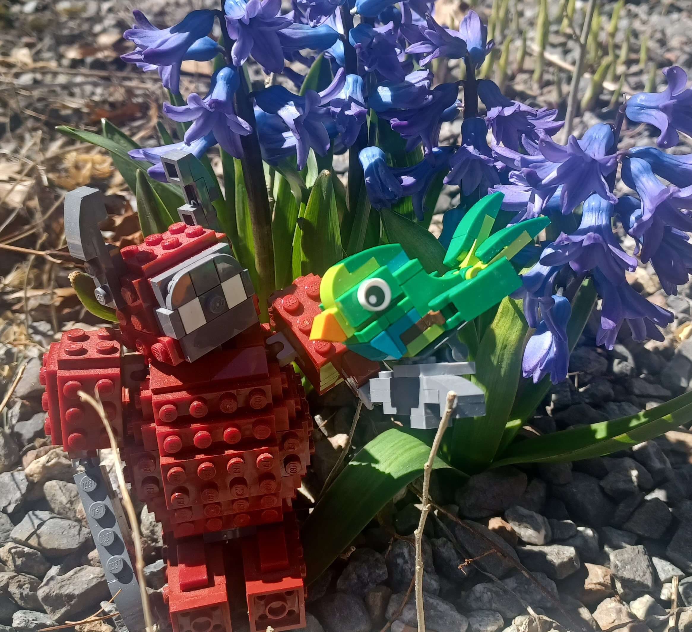 Hollow Knight- Dung Defender Custom Lego-moc/model - Etsy