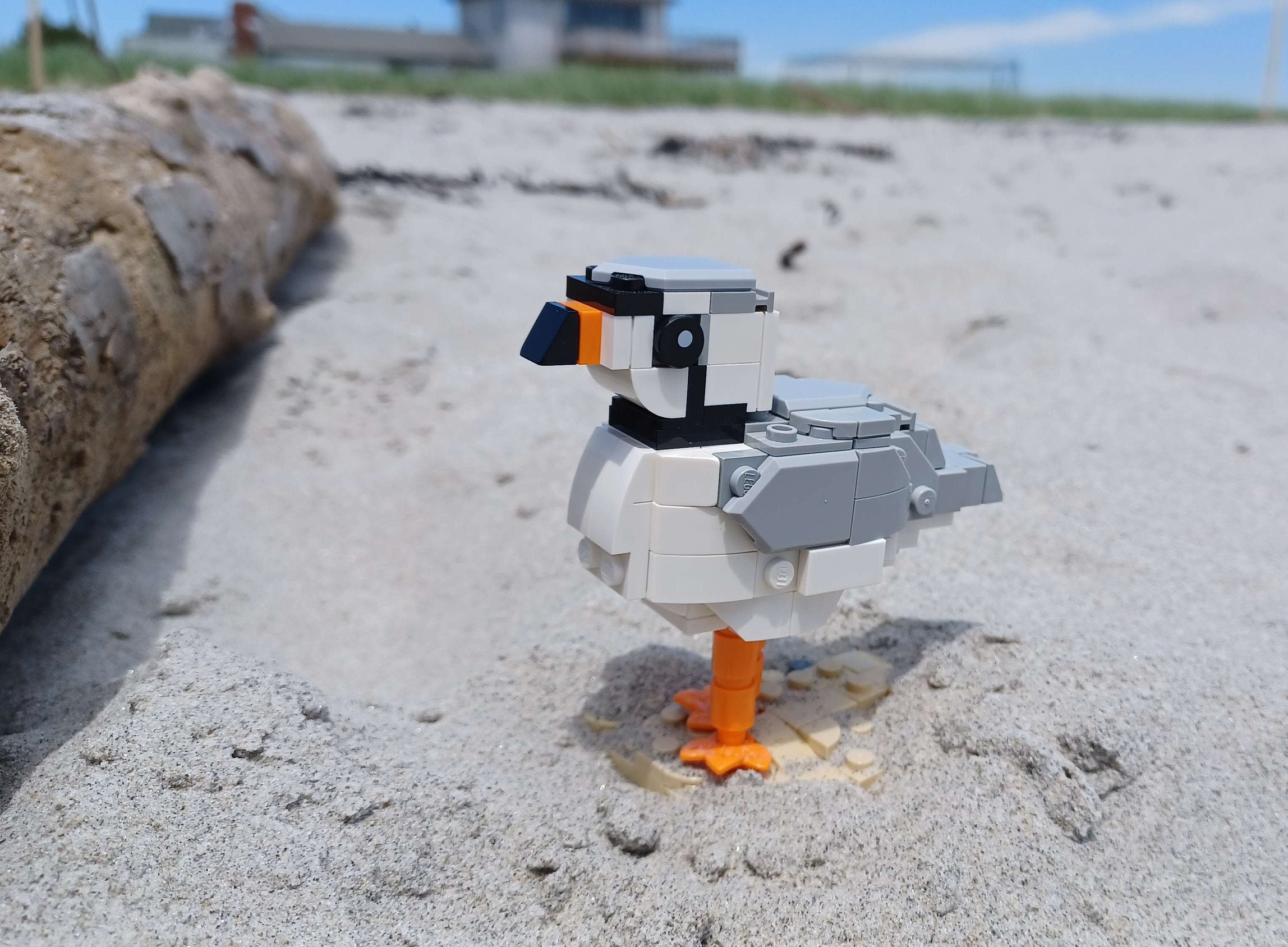 Piping Plover Bird Custom Lego-moc/model - Etsy