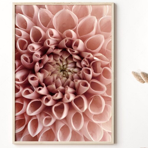 Light Pink Wall Art Modern Boho Decor Pastel Poster - Etsy