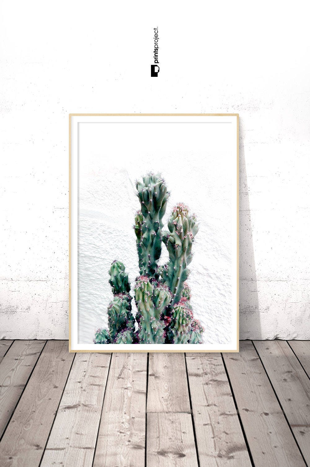 Cactus Photography Cactus Poster Cacti Wall Art | Etsy
