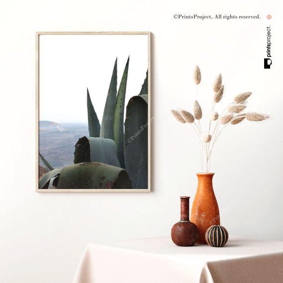 Agave Plant Print Green Cactus Digital Print Download Fine | Etsy