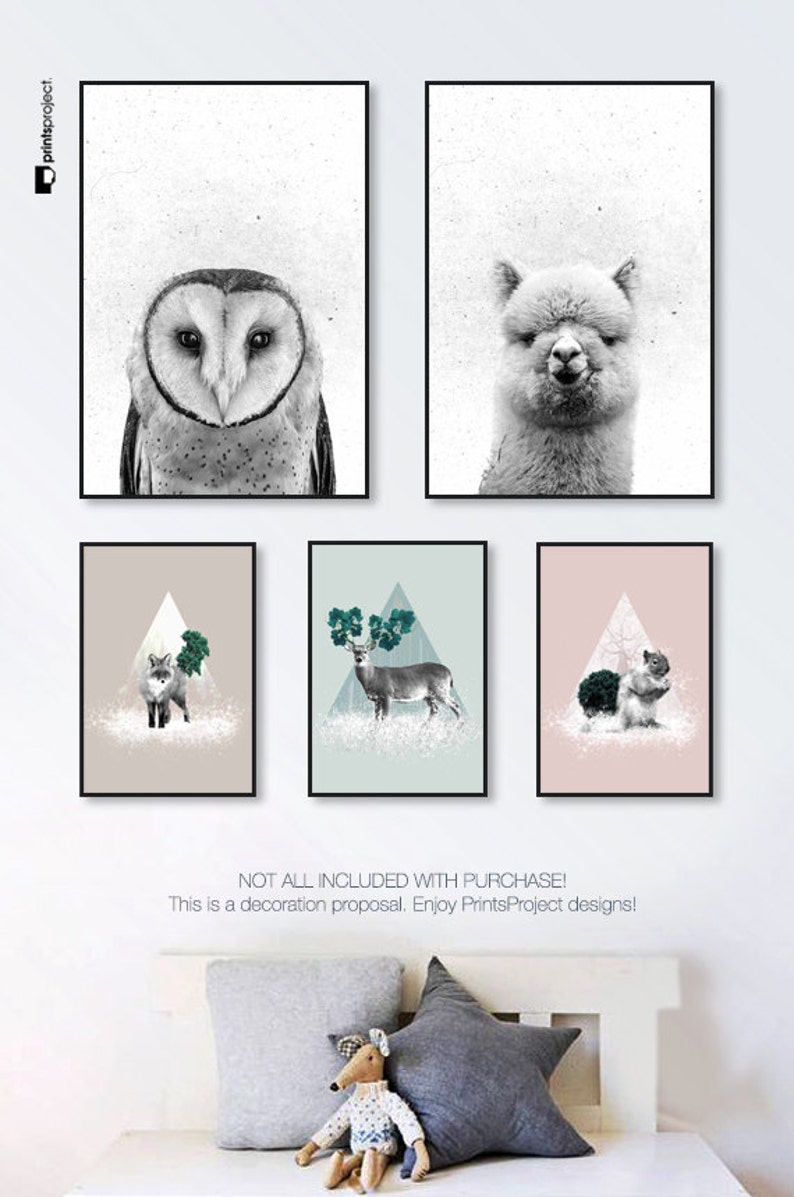 Alpaca Print Alpaca Art Kids Room Art Animal Print Kids | Etsy