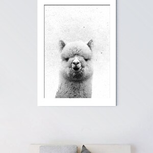 Alpaca Print Alpaca Art Kids Room Art Animal Print Kids | Etsy