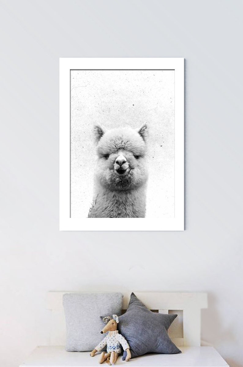 Alpaca Print Alpaca Art Kids Room Art Animal Print Kids | Etsy