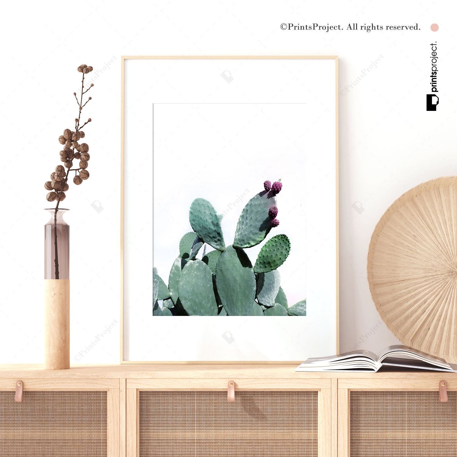 Cactus Wall Art Southwestern Decor Cactus Photography | Etsy