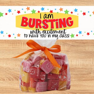 Back to School Tag, Welcome New Students, Meet the Teacher, Bursting ...