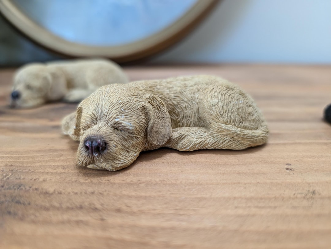 Vintage Sandicast Snoozer Dog Black and Yellow Labrador Figurine Sandra ...