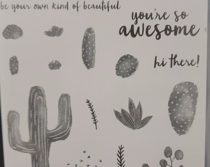 FLOWERING DESERT Stamp Set Photopolymer Stamp Set Stampin' Up Cactus ...