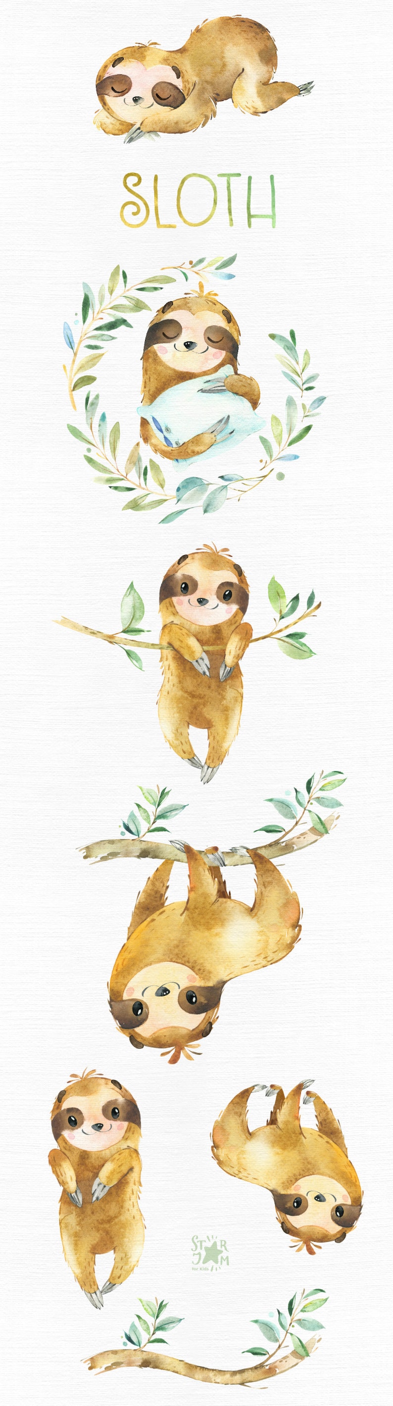Sloth. Little Animals Watercolor Clipart Sleepy Sloths - Etsy