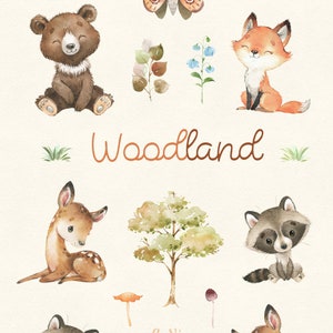 Woodland. Little Animals Watercolor Clip Art, Fox, Bear, Deer, Raccoon ...