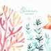 Ocean. Seaweed. Underwater watercolor clip art water plants | Etsy