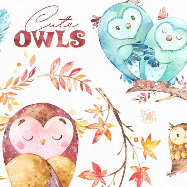 Cute Owl Clip Art - Etsy