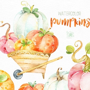 Watercolor Pumpkins. Fall Clipart, Halloween, Thanksgiving, Autumn ...