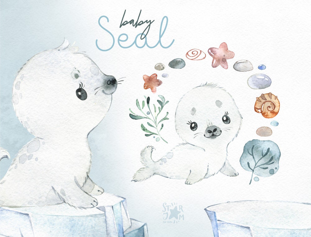 Baby Seal. Watercolor Little Animal Clipart Gentle White | Etsy