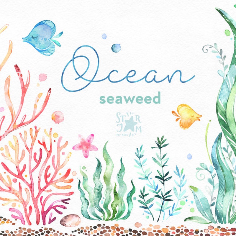 Sea Life Watercolor - Etsy