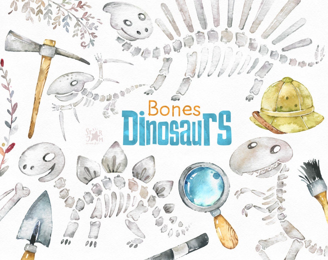 Dinosaurs Bones. Watercolor Clip Art, Archeology, Characters, Cute ...