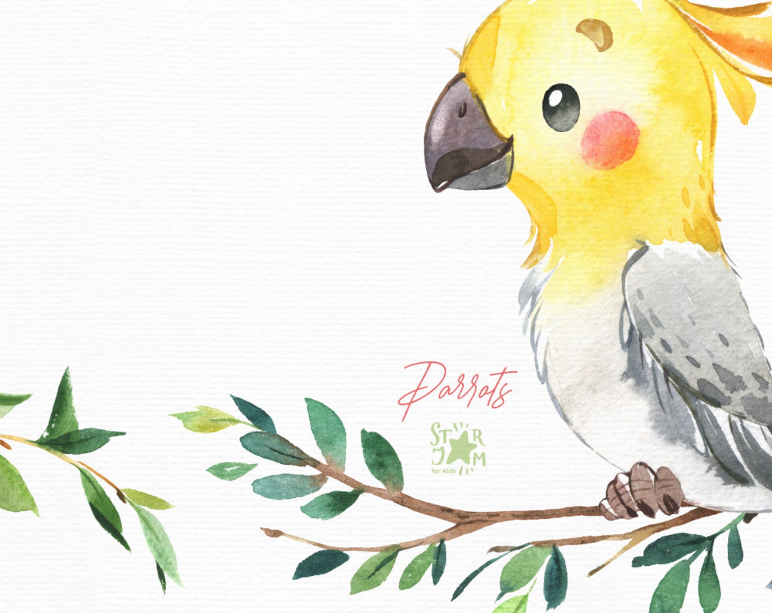 Parrots. Watercolor Animals Clipart Bird Greeting Jungle - Etsy