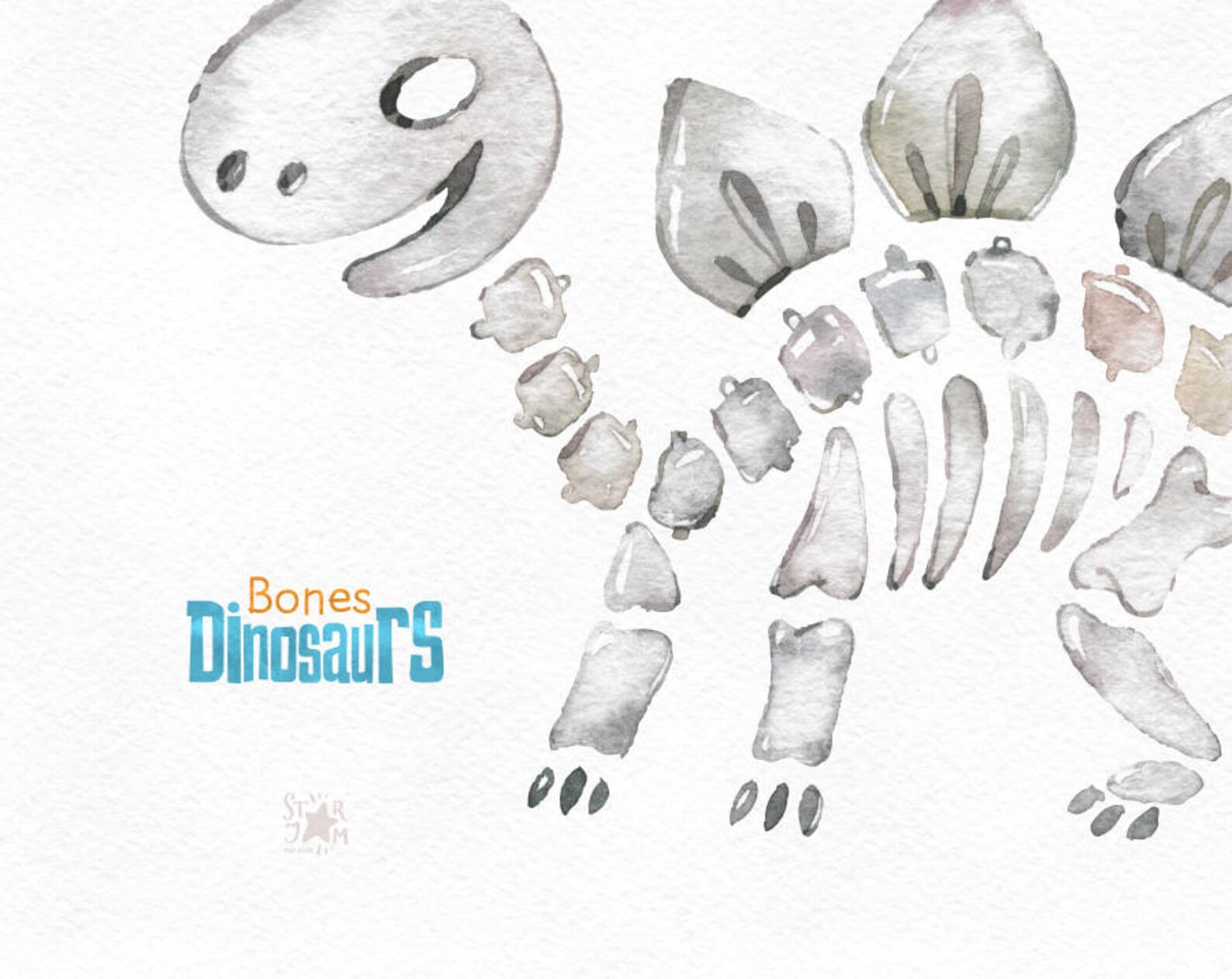 Dinosaurs Bones. Watercolor Clip Art Archeology Characters - Etsy