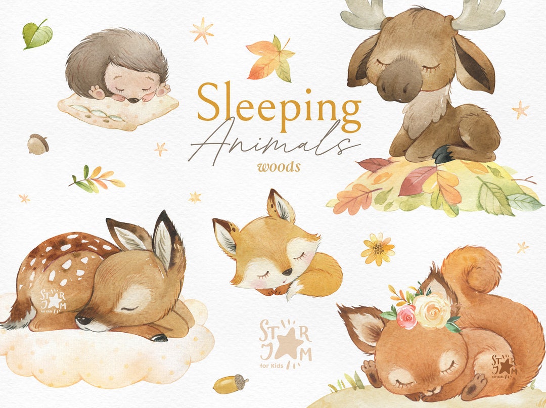 Sleeping Animals Woods. Watercolor Clipart, Woodland Critters, Fox ...