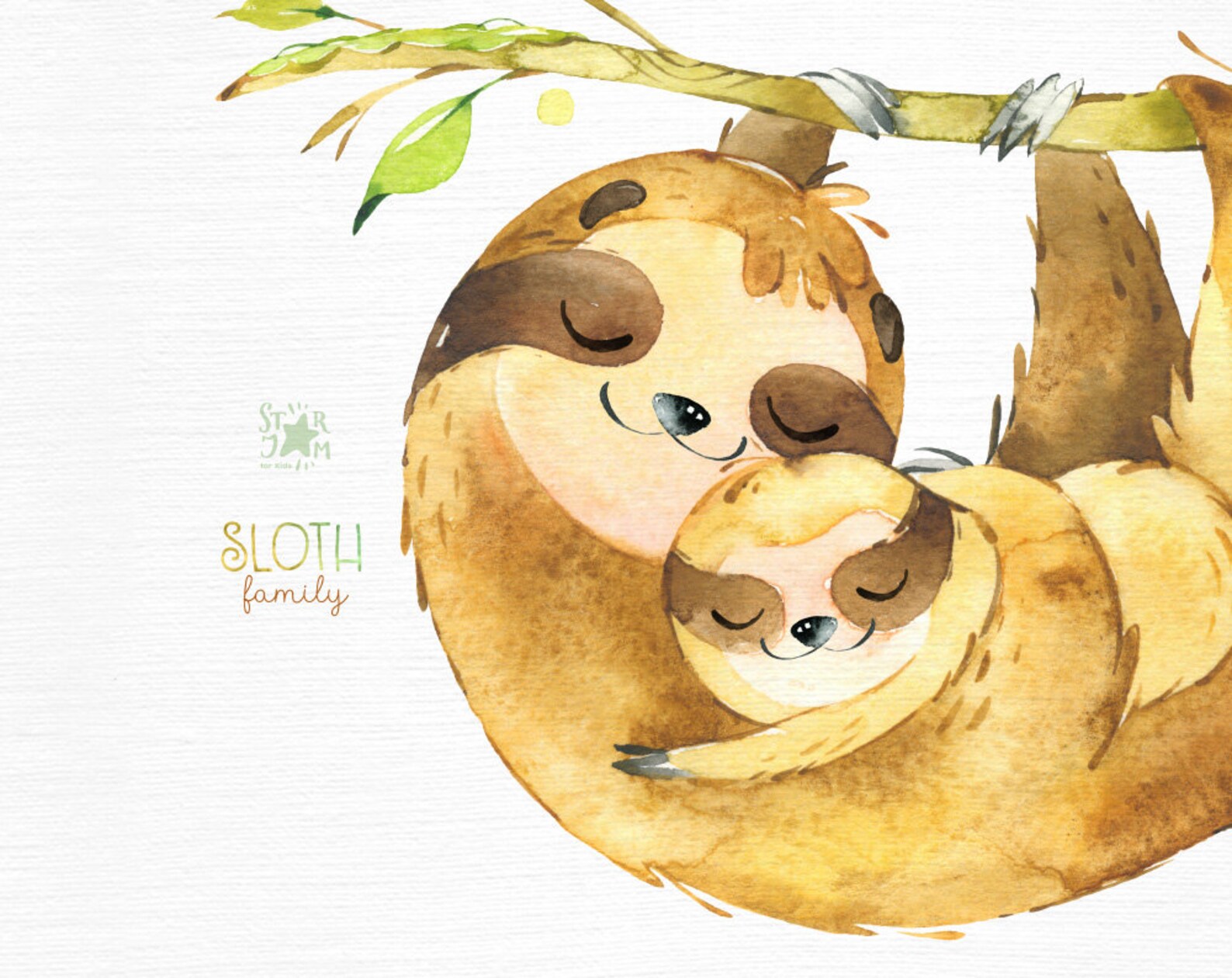 Sloth. Family. Watercolor Animals Clipart Sleepy Sloths | Etsy Australia
