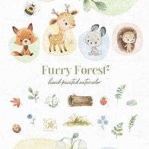 Furry Forest 2. Cute Watercolor Clipart, Fox, Rabbit, Deer, Hedgehog ...
