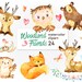 Woodland Friends 3. Watercolor Animals Clipart Fox Forest | Etsy