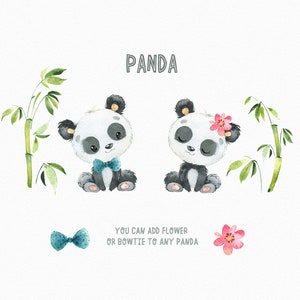 Panda. Little Animals Watercolor Clipart, Watercolor, Bear Panda Cub ...