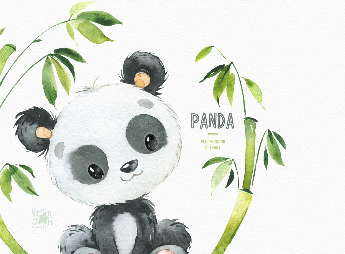 Panda. Little animals watercolor clipart watercolor bear | Etsy