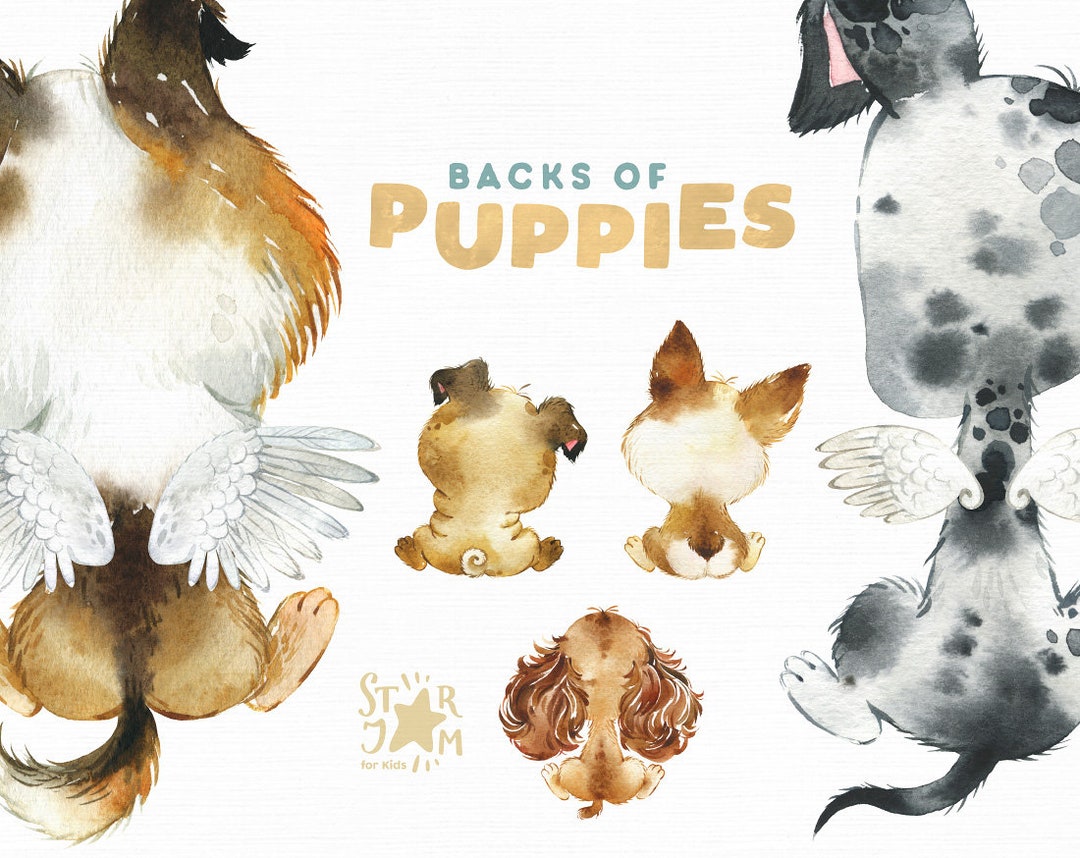 Backs of Puppies. Dalmatian, Rough Collie, Pug, Welsh Corgi, Cavalier ...