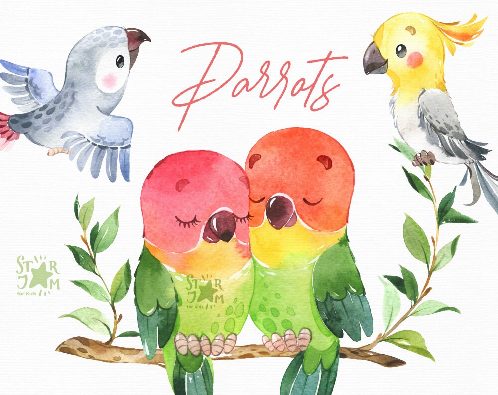 Parrots. Watercolor Animals Clipart Bird Greeting Jungle - Etsy