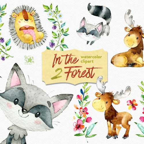 Opossum. Watercolor Animals Clip Art Wild Native Forest - Etsy