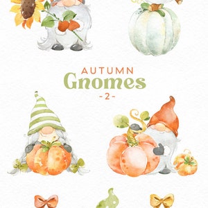 Autumn Gnomes 2. Watercolor Fall Clipart, Halloween, Thanksgiving ...