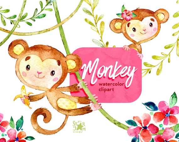 Monkey Jungle Clipart