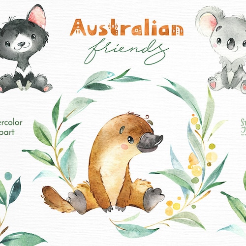 Koala. Little Animals Watercolor Clipart Australia Koala - Etsy