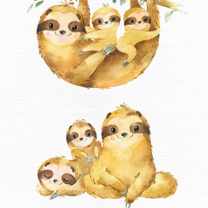 Sloth. Family. Watercolor Animals Clipart, Sleepy Sloths, Mother ...