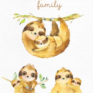 Sloth. Family. Watercolor Animals Clipart, Sleepy Sloths, Mother ...