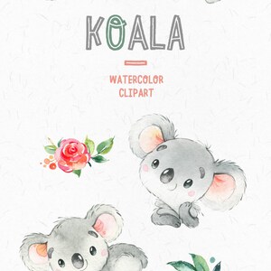 Koala. Little Animals Watercolor Clipart, Australia, Koala Bear ...