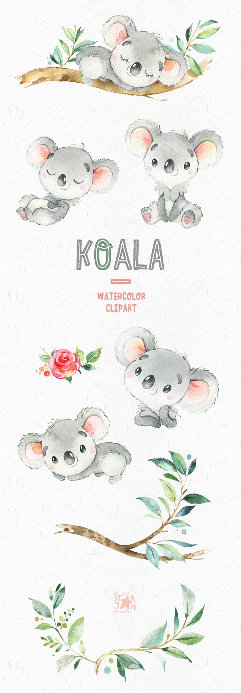 Koala. Little Animals Watercolor Clipart Australia Koala - Etsy