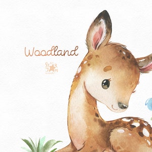 Woodland. Little Animals Watercolor Clip Art, Fox, Bear, Deer, Raccoon ...