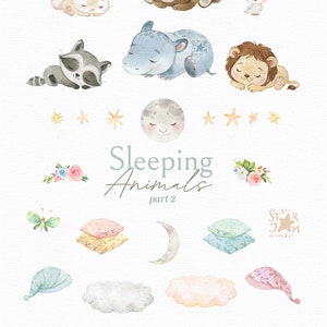 Sleeping Animals 2. Watercolor Clipart, Lion, Bear, Bunny, Hippo ...
