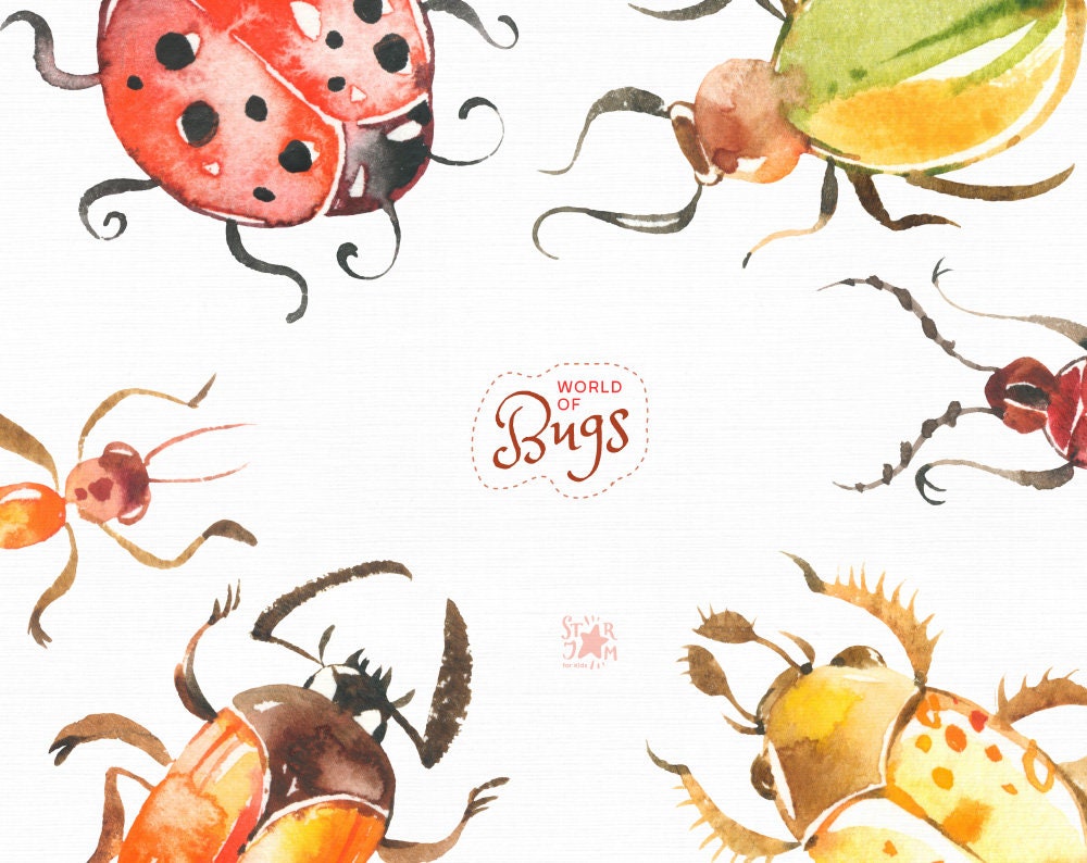 World of Bugs. Watercolor Clipart Forest Insects Wild - Etsy UK